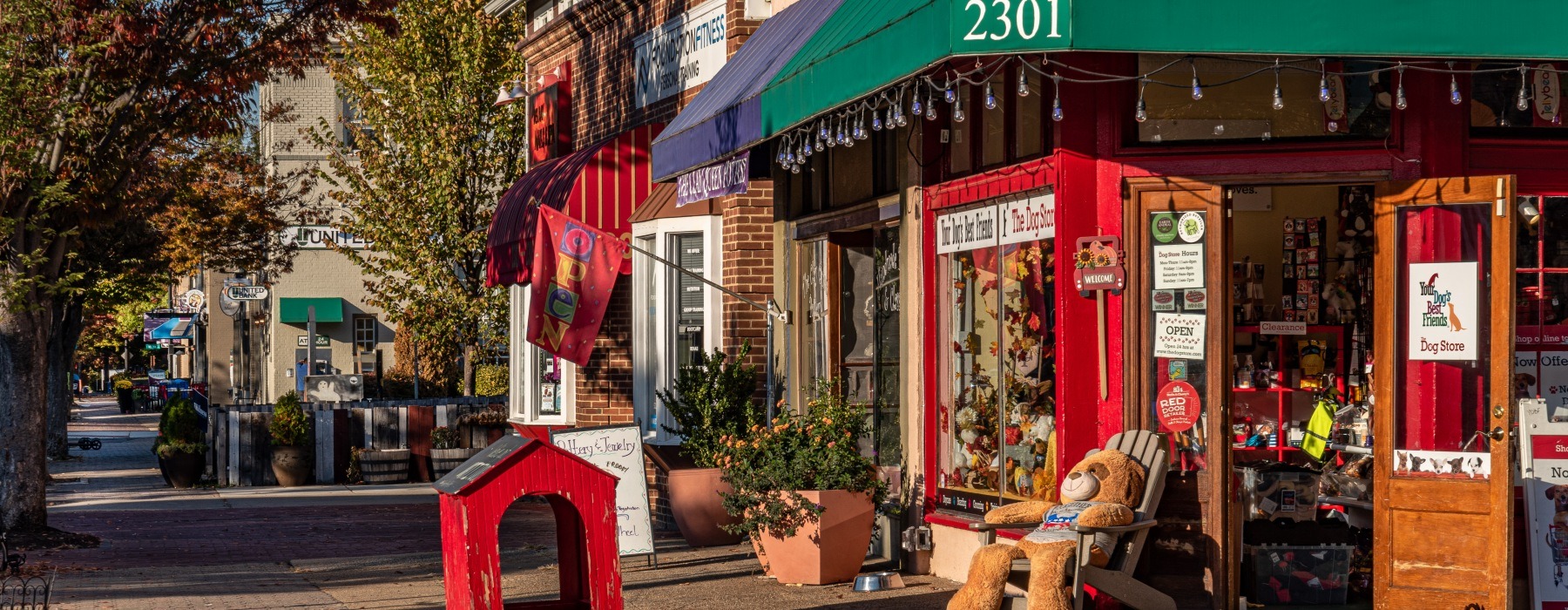 Chimney Sweep in Del Ray, Alexandria, VA | Sixpenny Chimney Sweep